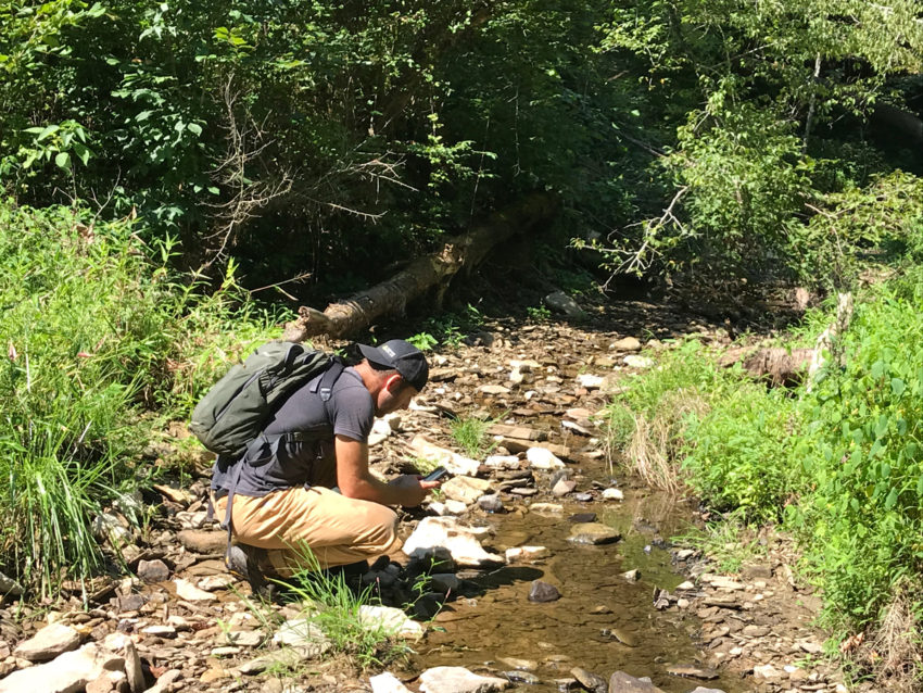 Wild rumpus athens 2021 - mlhery